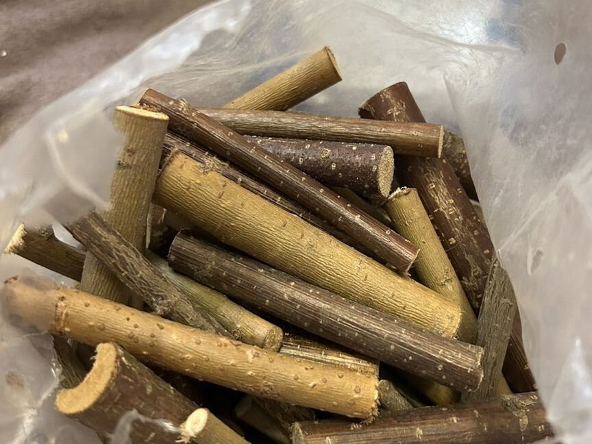 Ветки яблони и орешника