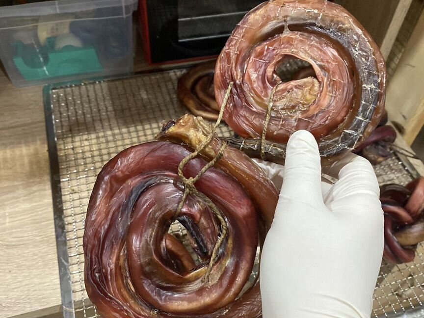 Бычий корень