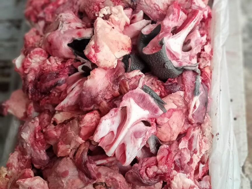 Мясо говядина для собак