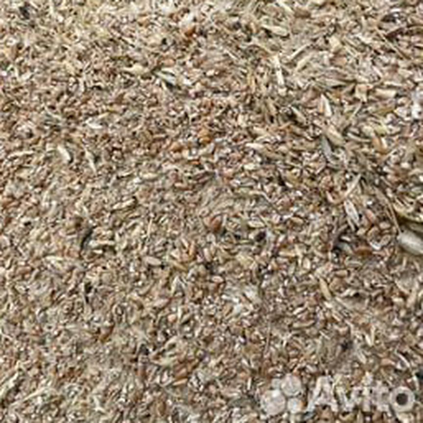 Пшеничные зерноотходы