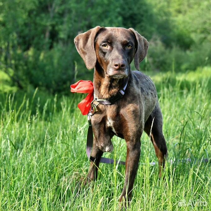 Лука,особенный мальчик