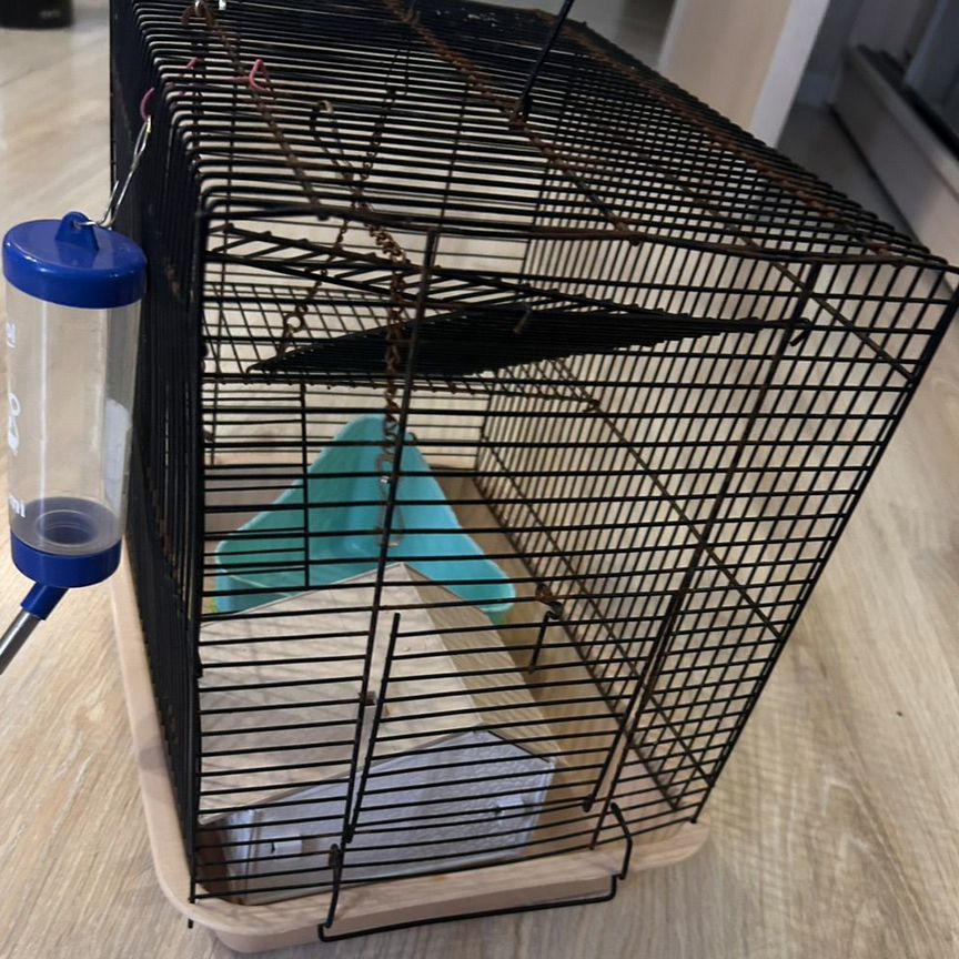 Клетка для грызунов бу