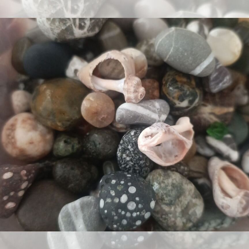 Морские камни для аквариума
