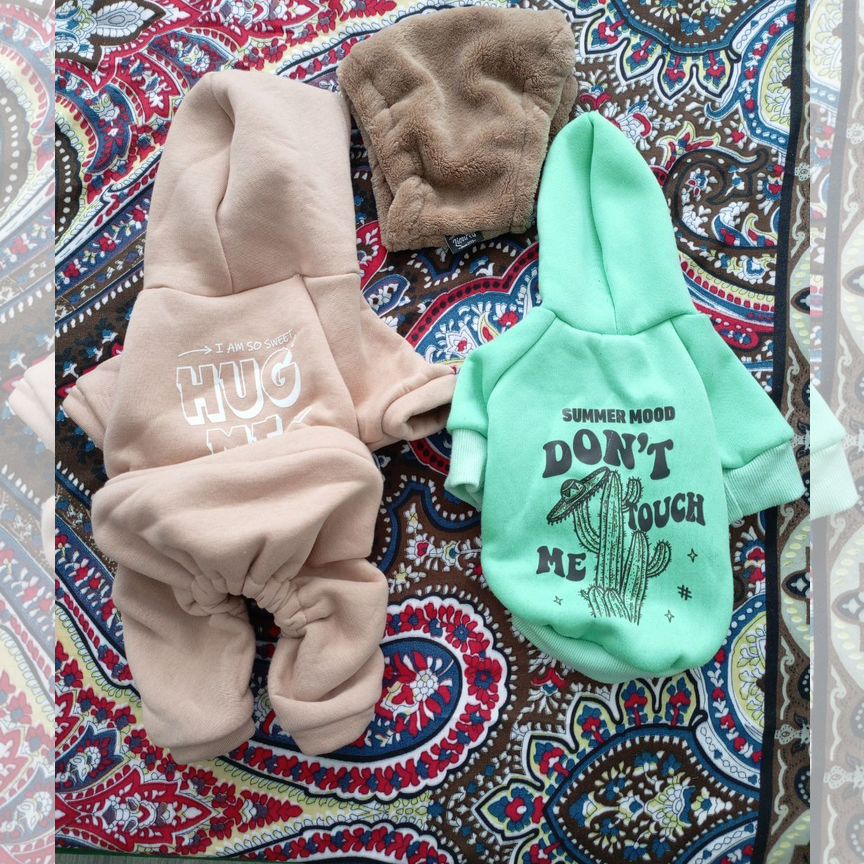 Одежда для собак