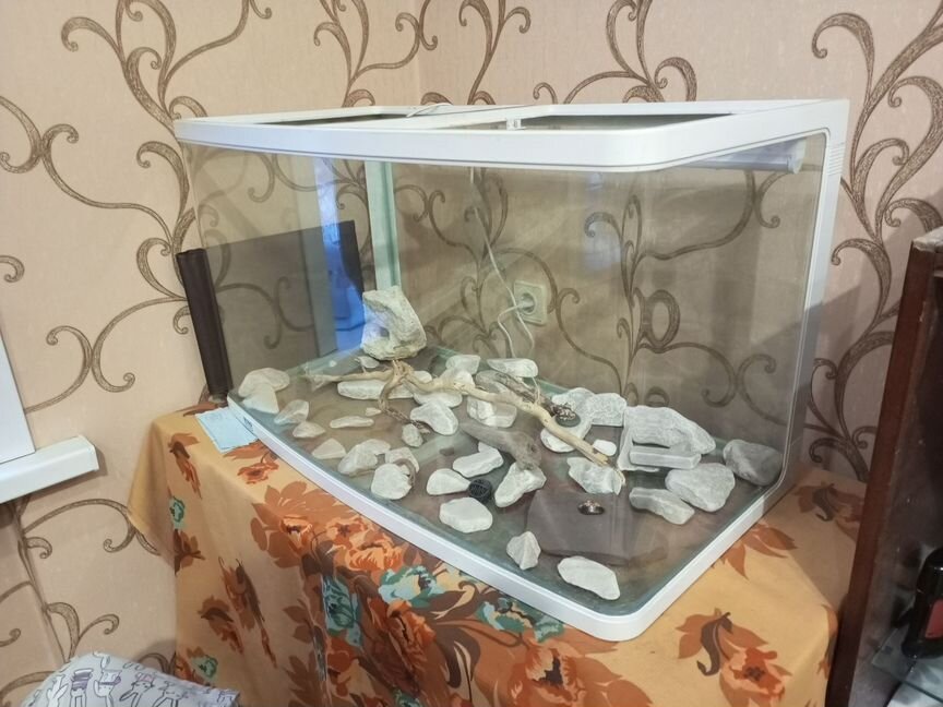 Аквариум 140