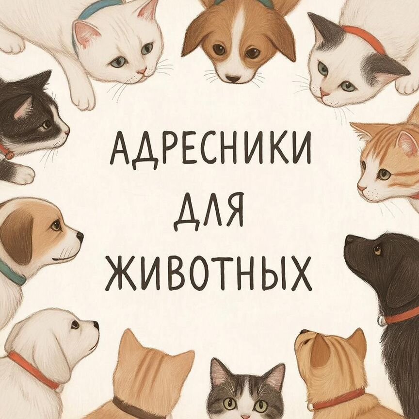 Адресники/кулоны для животных