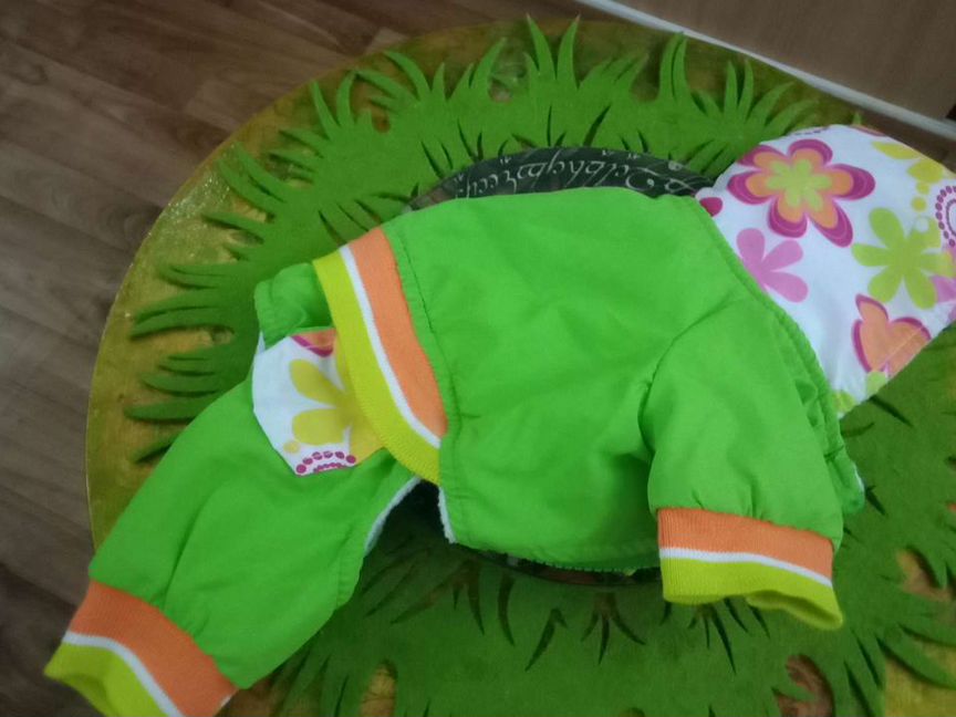 Одежда для карликовых пород собак