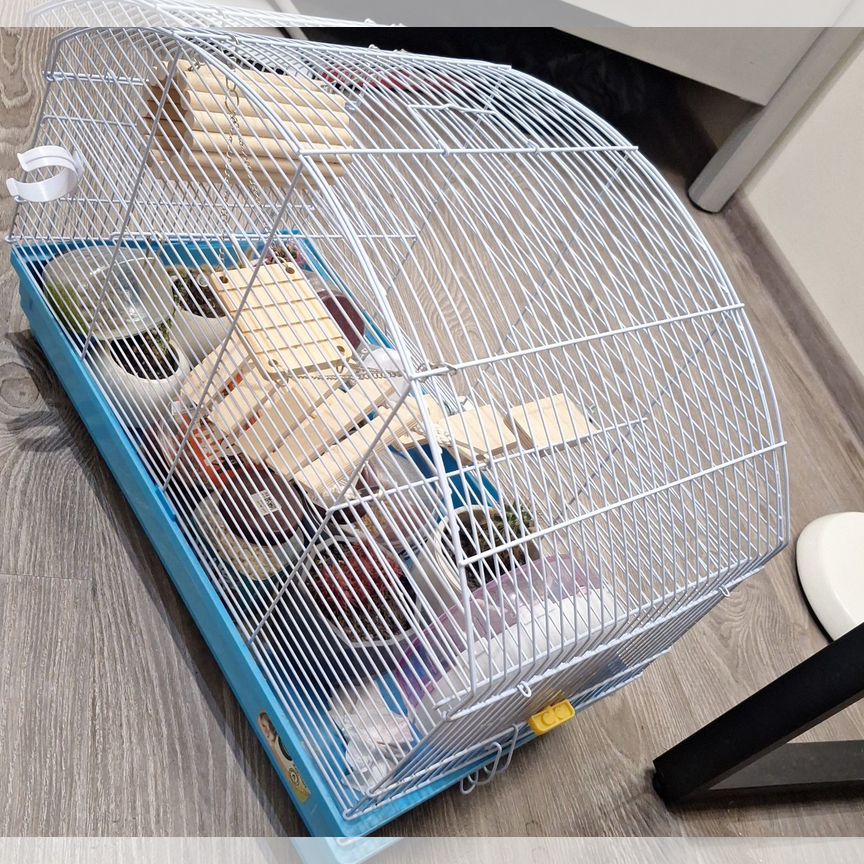 Клетка для сирийского хомяка большая
