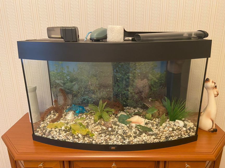 Аквариум juvel vision-180 литров