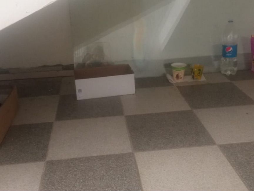Отдам кошечку в добрые руки