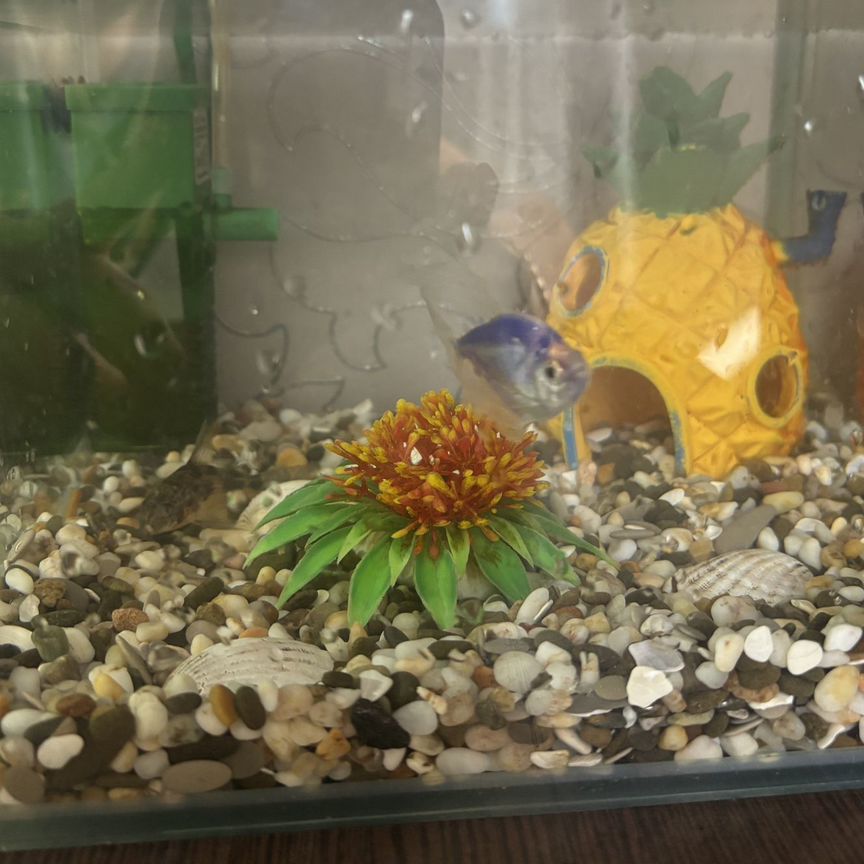 Продам аквариум