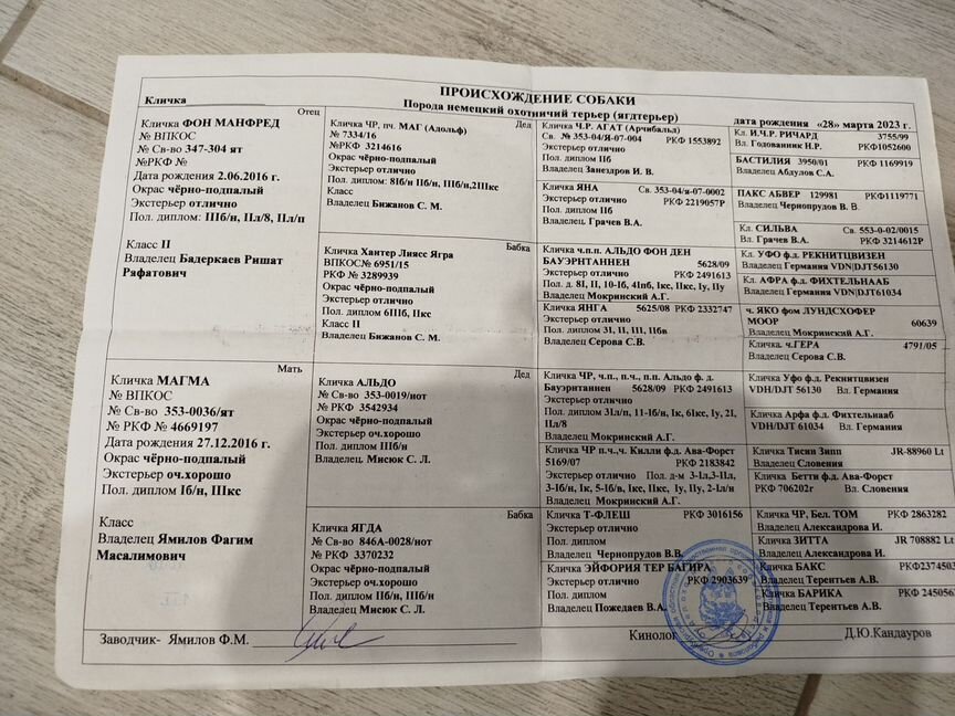 Продается немецкий ягдтерьер