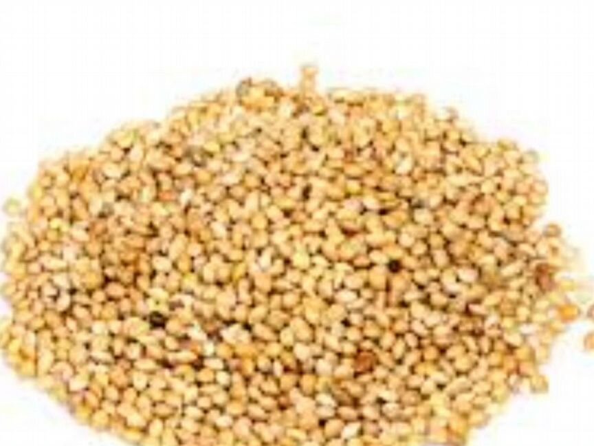 Продам просо