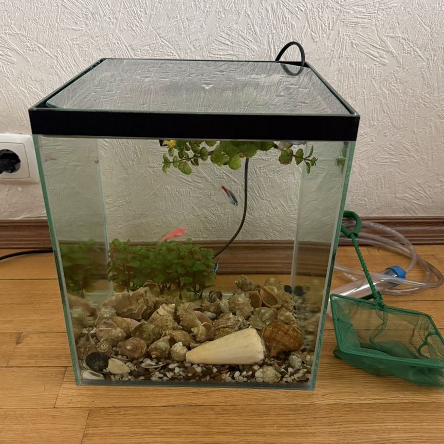 Аквариум с рыбками 20 литров