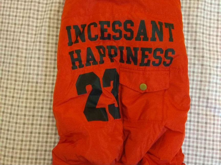 Комбинезон для небольшой собаки xl Petmax