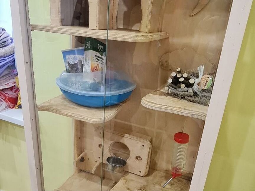 Витрина для шиншилл