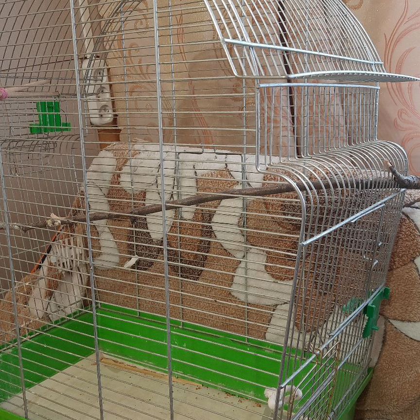 Клетка для попугаев