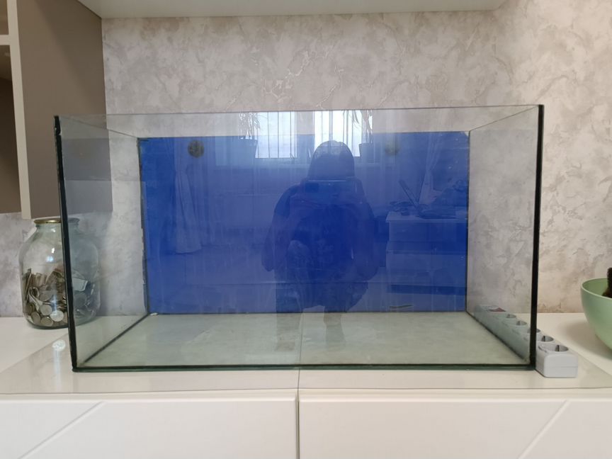 Аквариум на 100 литров