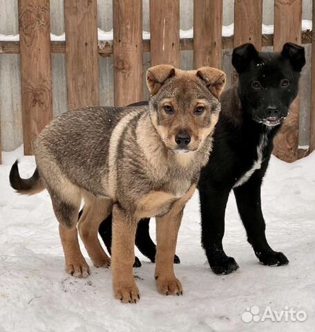 Мальчики 3 месяца