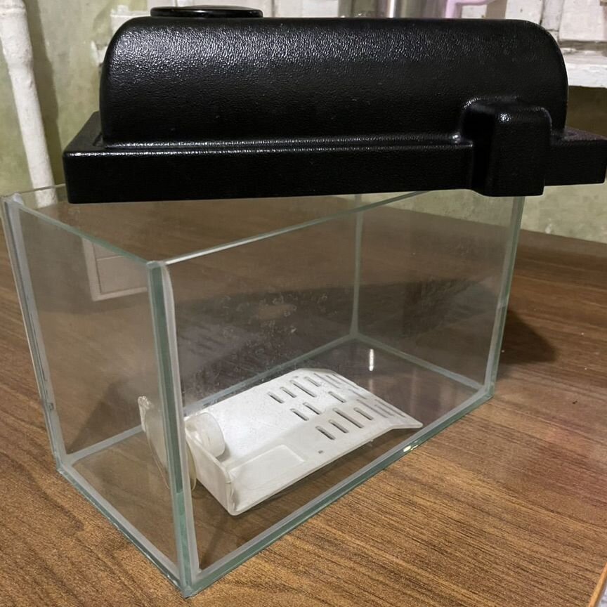 Аквариум