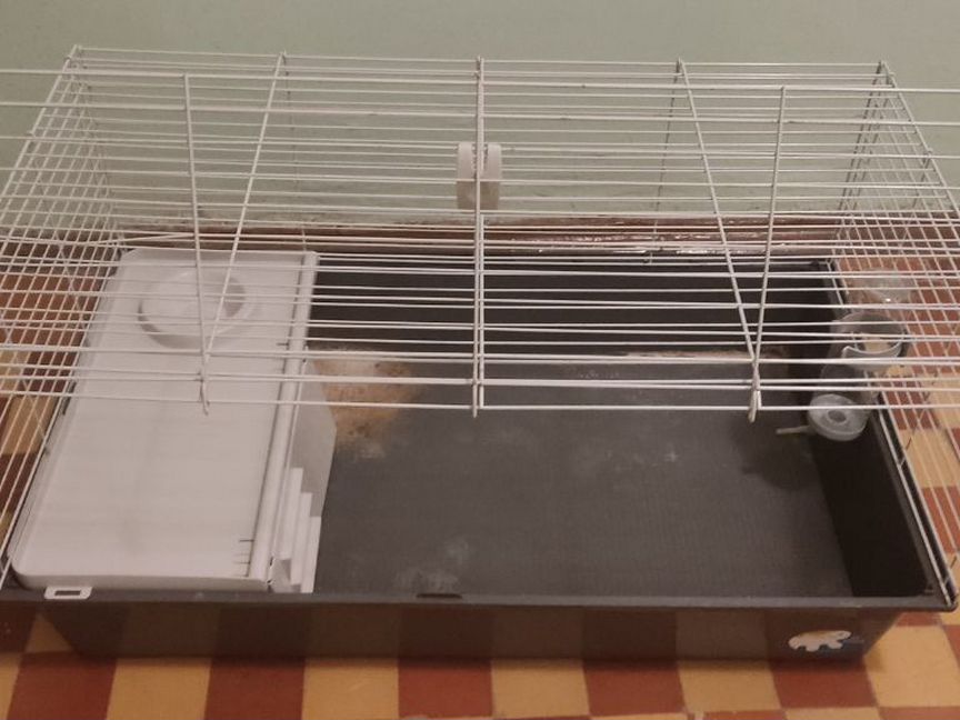 Клетка для кролика и морской свинки