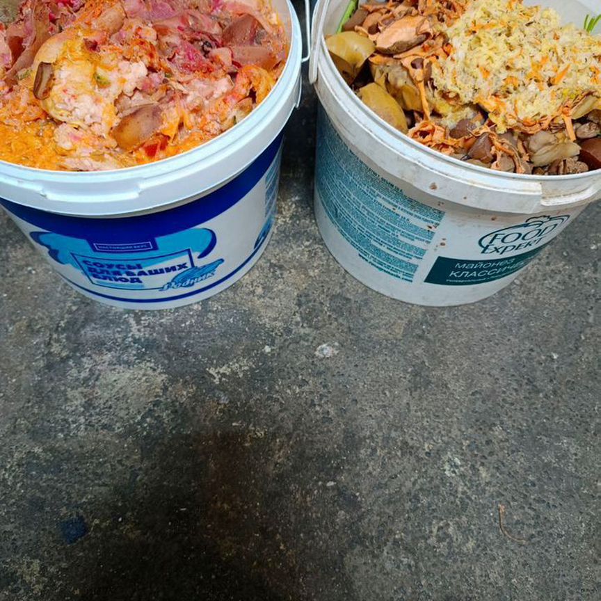 Пищевые отходы для животных