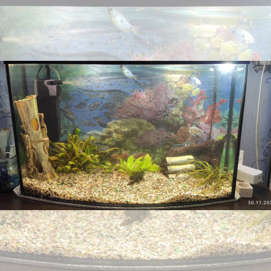 Продаётся аквариум с рыбками
