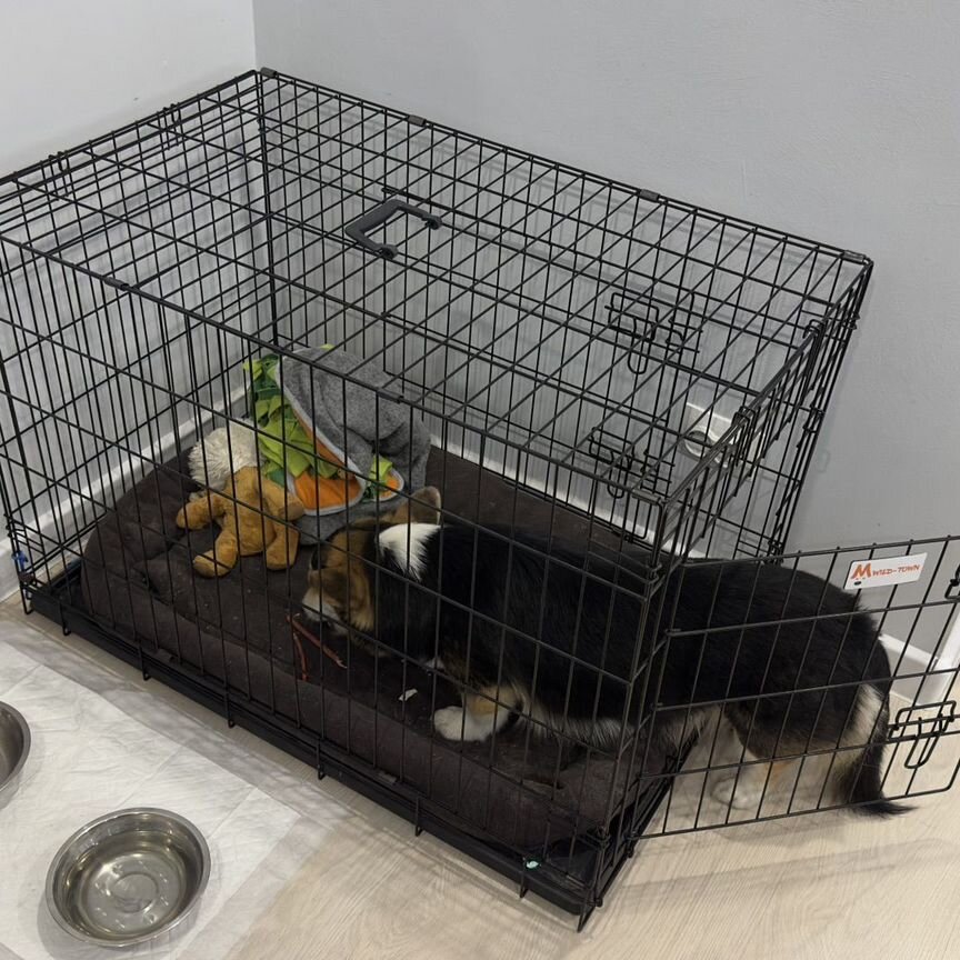 Двухдверная клетка #4 wild-town 89х56х61