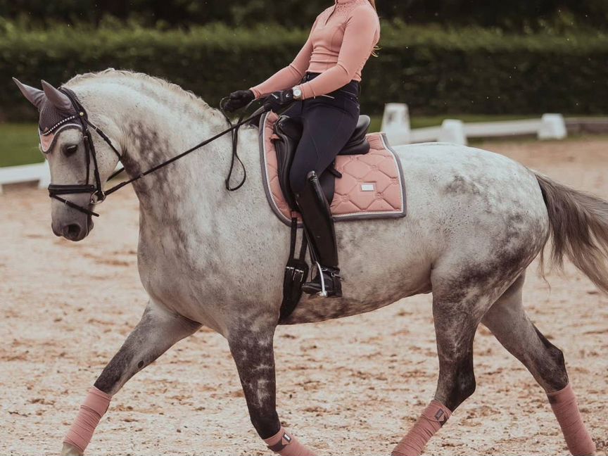 Вальтрап для выездки Equestrian Stockholm