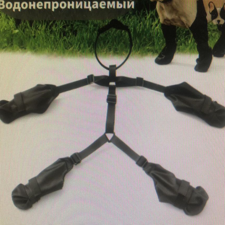 Ботинки для собак на подтяжках