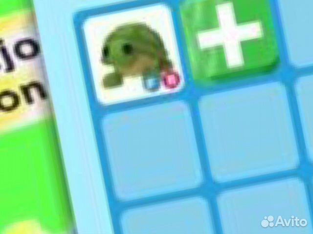 Продою фр черепаху (фотка с компа)