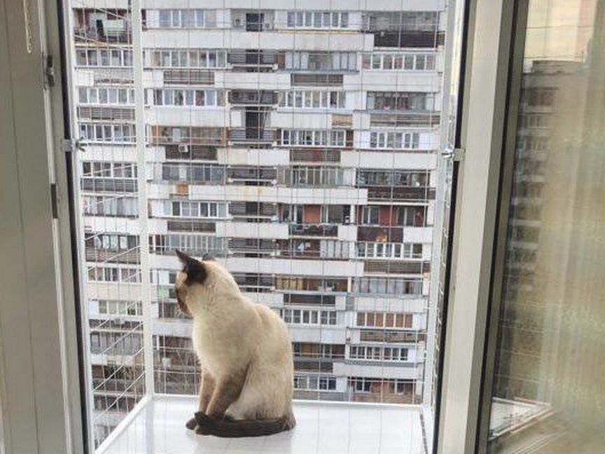 Балконы для кошек, балкончик/выгул для кошки