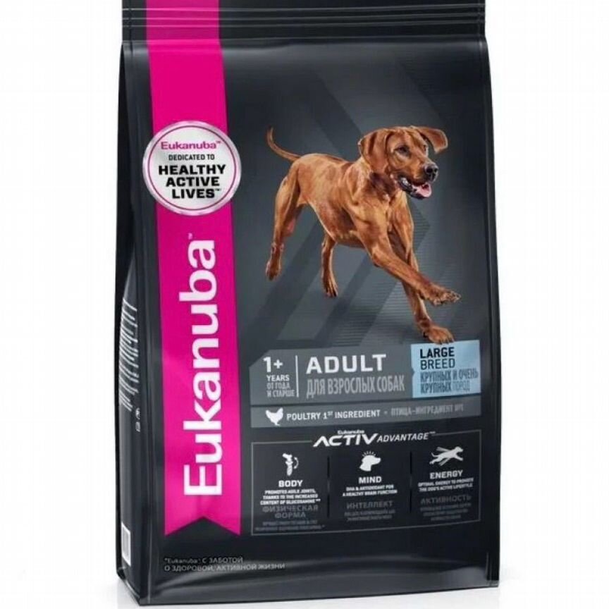 Корм для крупных собак eukanuba