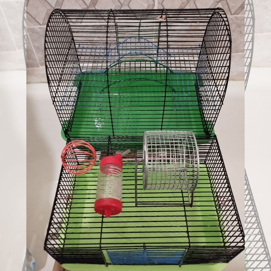 Клетки для грызунов