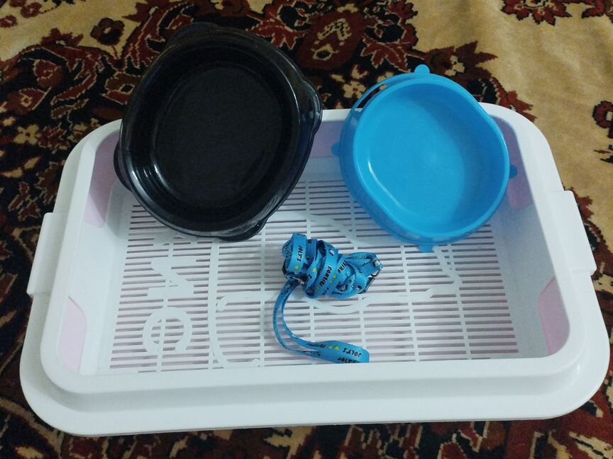 Лоток для кошек