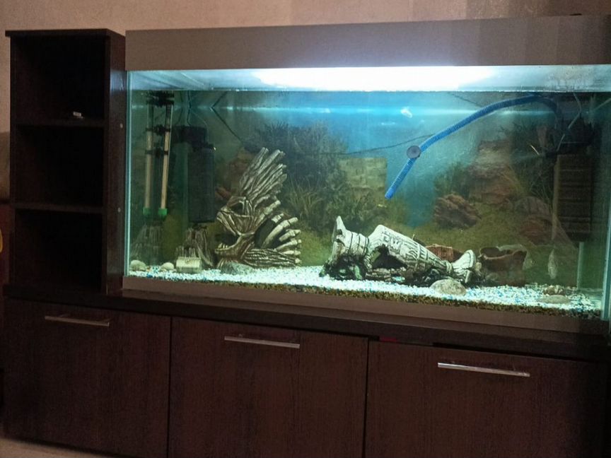 Аквариум с тумбой 300 литров
