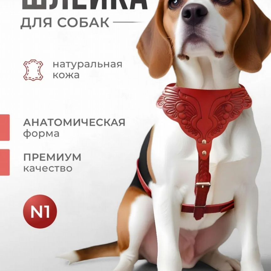 Шлейка из натуральной кожи для средних собак