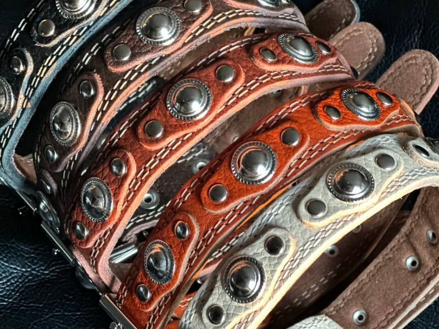 Ошейник для собак