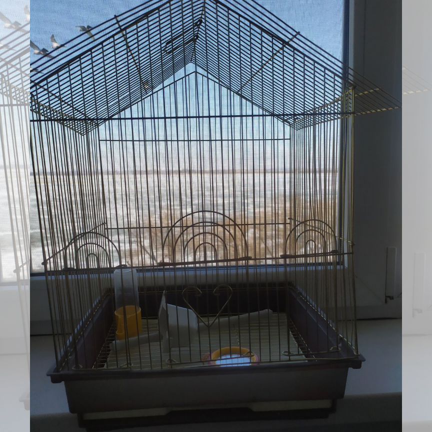 Клетка для попугая