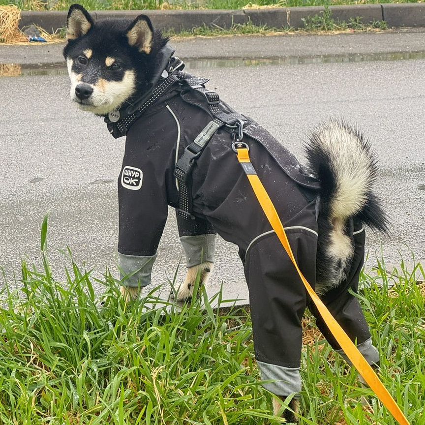 Дождевик комбенезон для собак Шарик размер L
