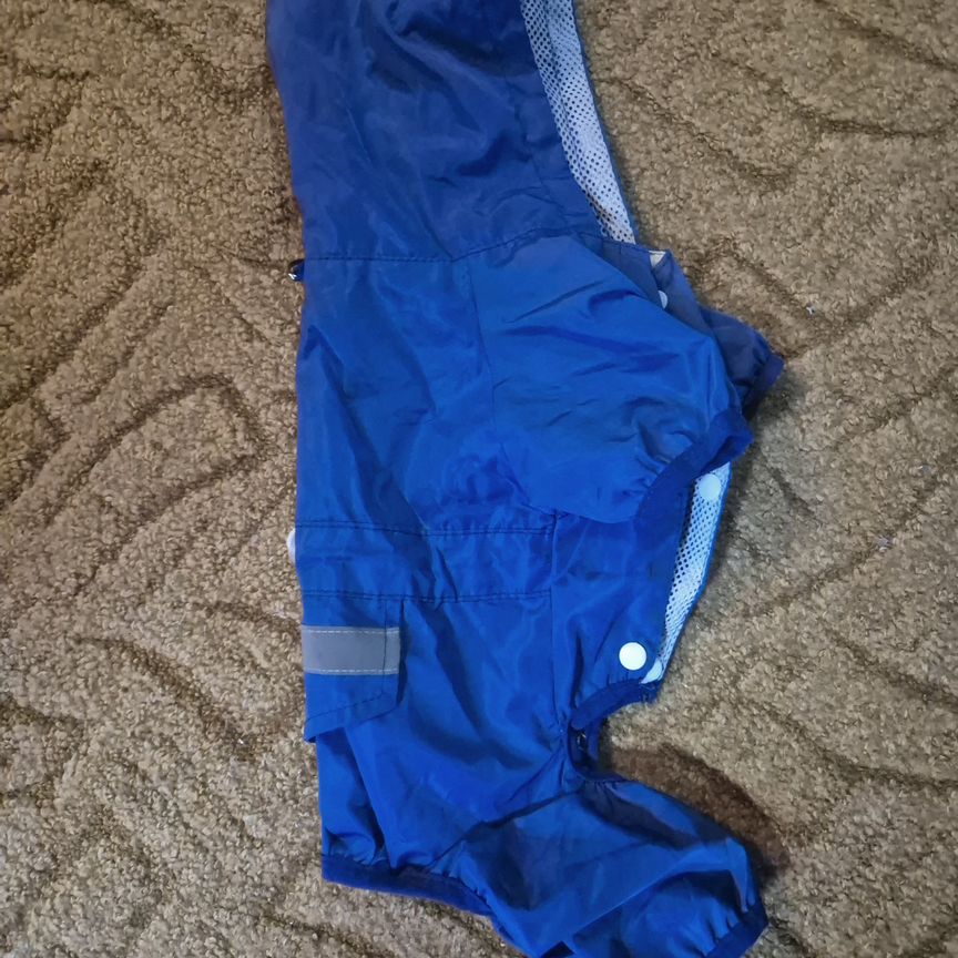 Одежда для маленьких собак бу