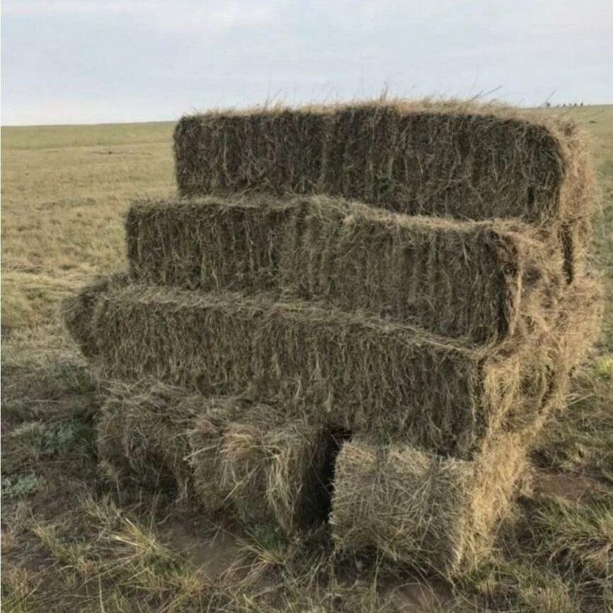 Сено в тюках на подстилку