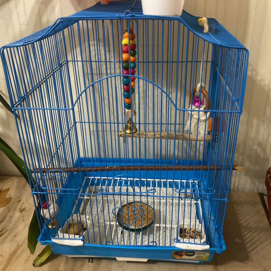 Клетка для попугая