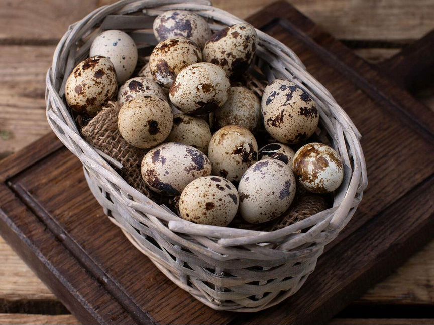4 породы инкубационное яйцо