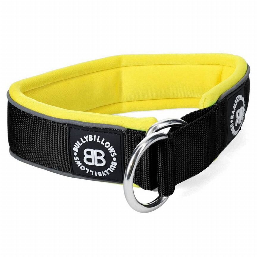 Ошейник-мартингейл BB (BullyBillows) Slip On