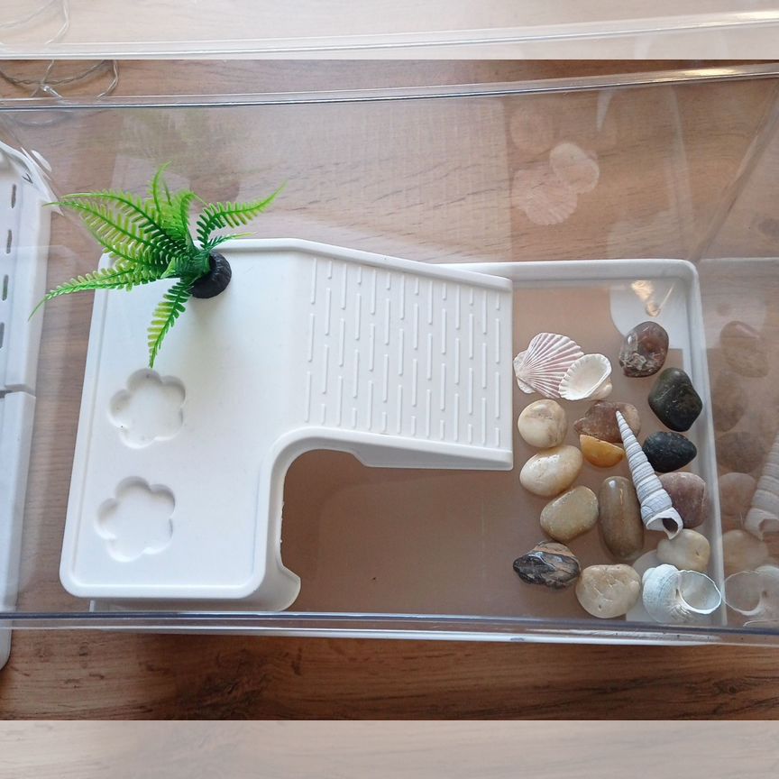 Аквариум для красноухой черепахи