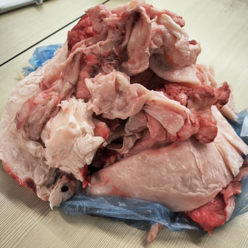 Мясо говядина (обрезки жировые)для собак