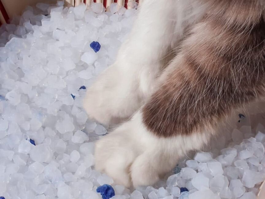 Наполнитель