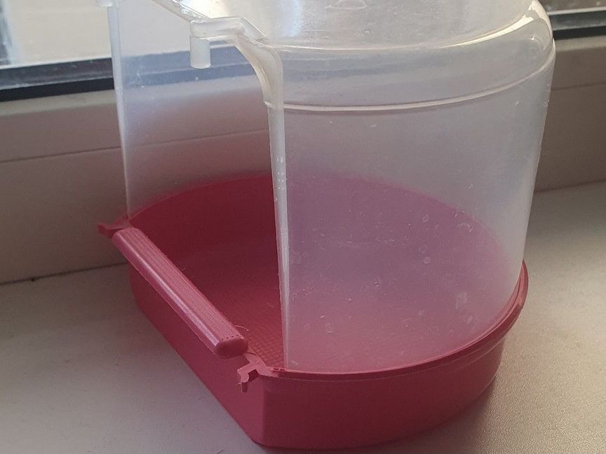 Ванная для попугая