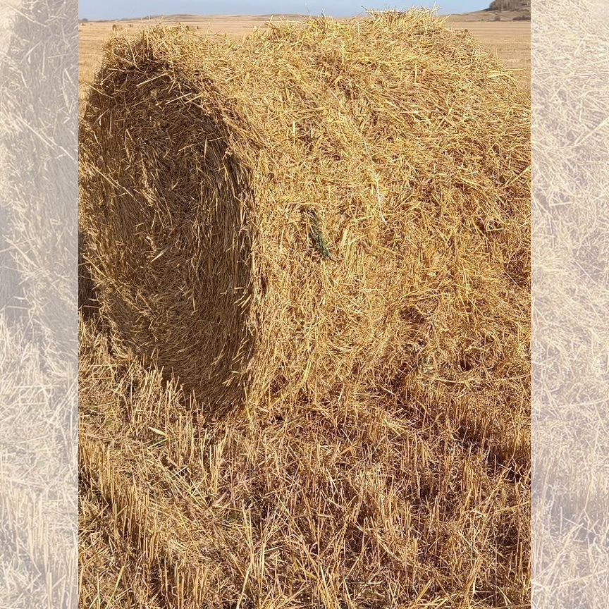 Солома в рулонах